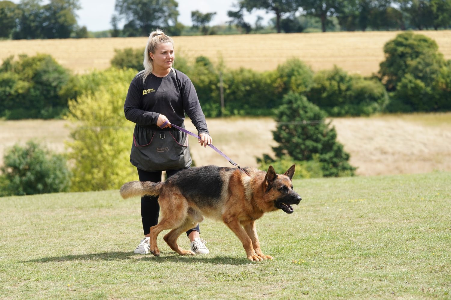 Gallery – DDR Guard Dogs
