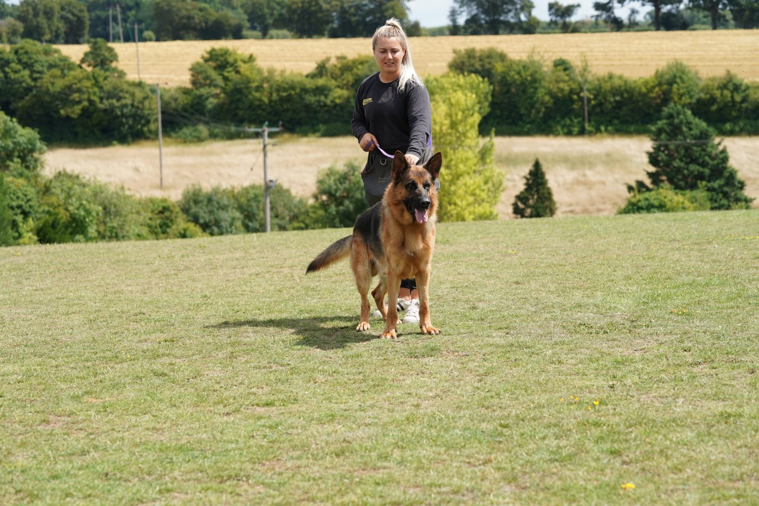 Gallery – DDR Guard Dogs
