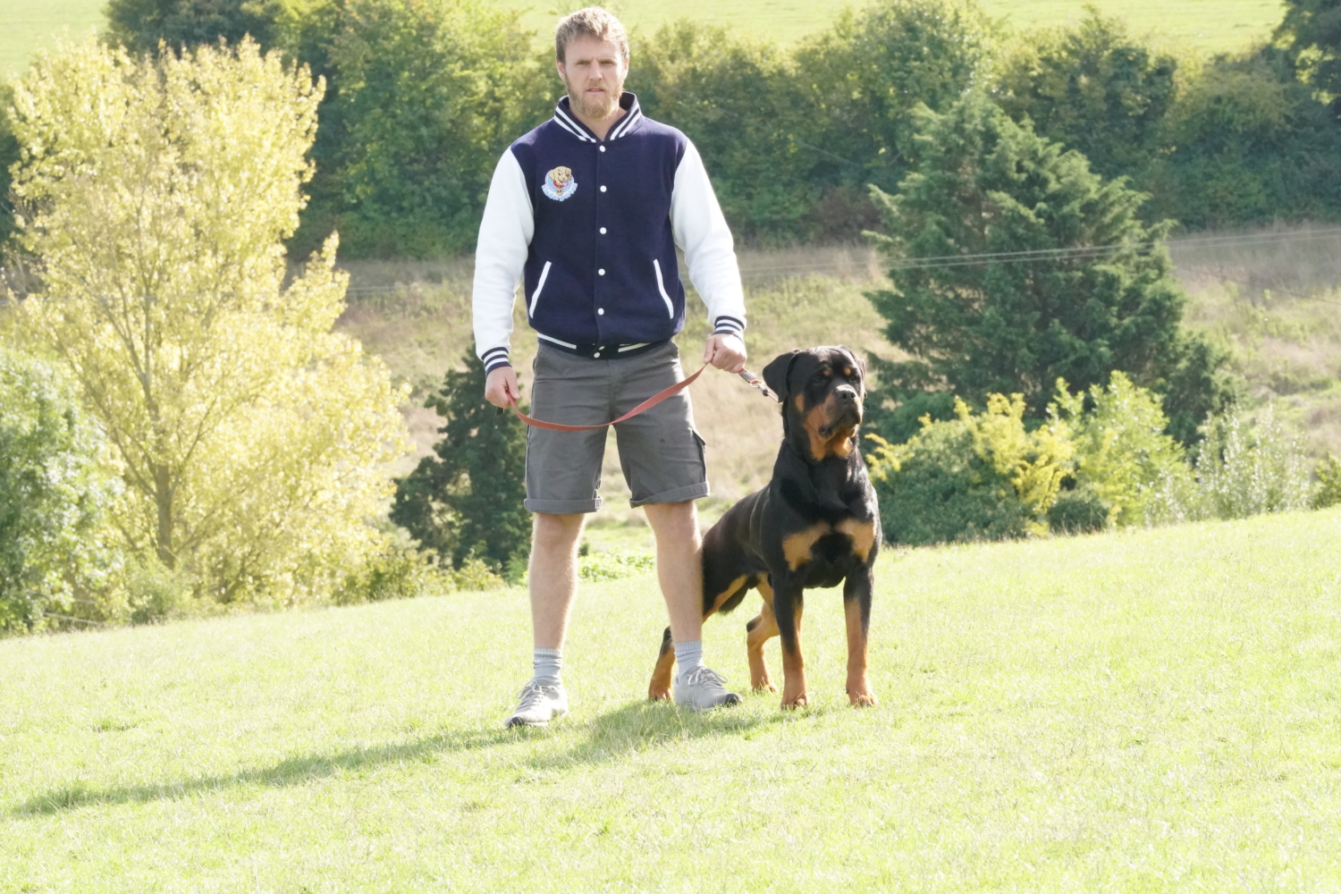 Kujo // Male Rottweiler 15 Months Old - DDR Guard Dogs