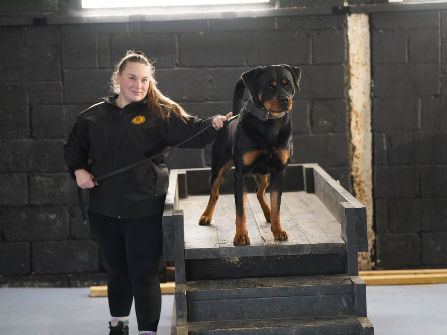 Milton // Male Milton 14 Months Old - DDR Guard Dogs