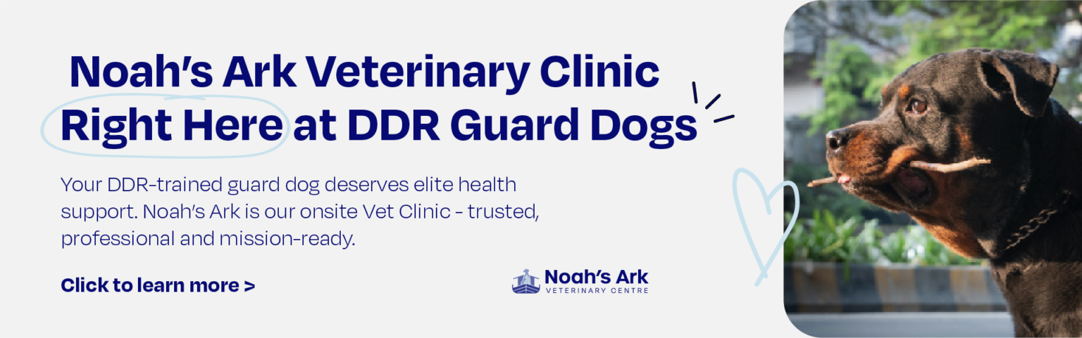 Home - DDR Guard Dogs