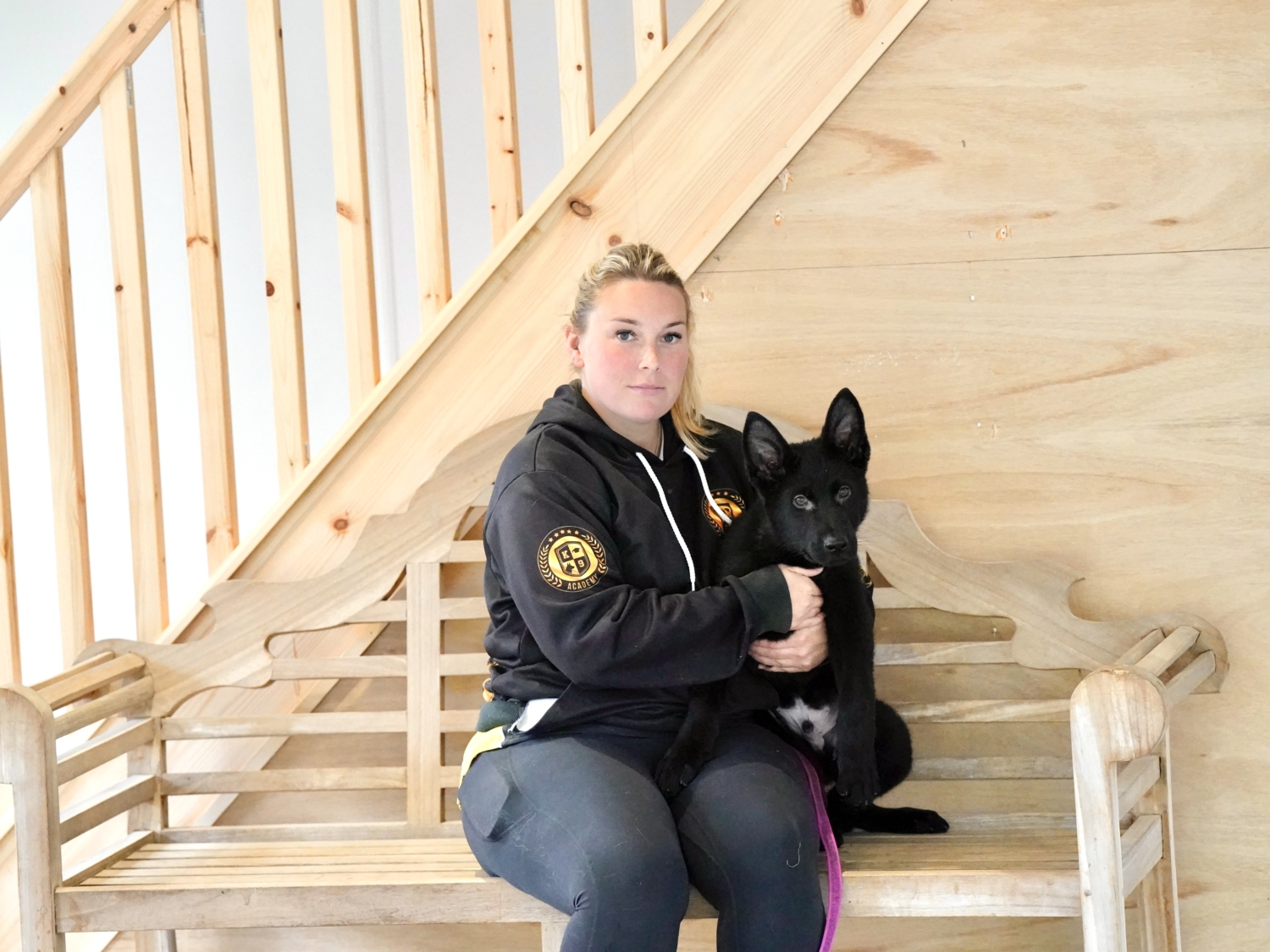 Elite Pure Bred DDR German Shepherd Puppies - DDR Guard Dogs